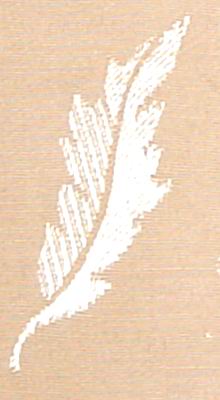 Index of /Spirella/Corsets